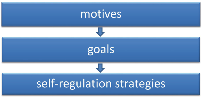 Self-Regulation Strategies and Regulatory Fit | SpringerLink