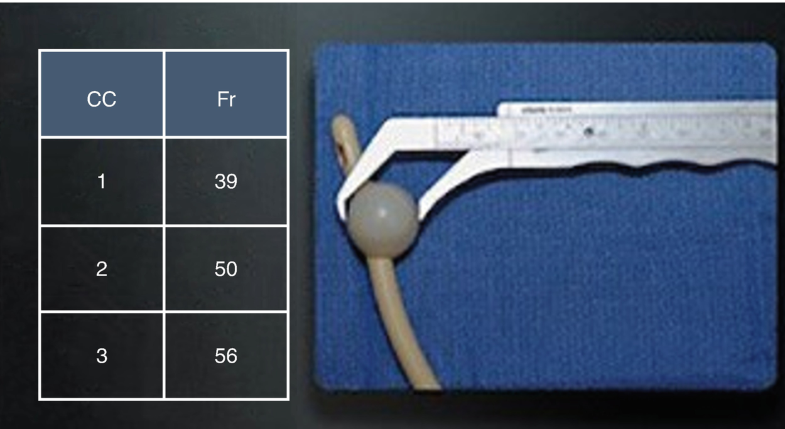 Functional Anatomy of the Male Urethra for the Reconstructive Surgeon ...