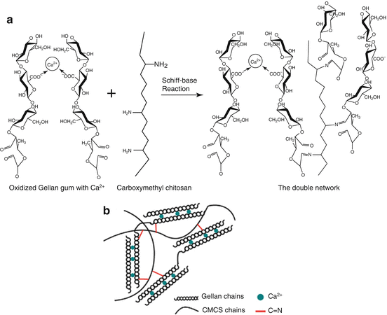 Gellan | SpringerLink