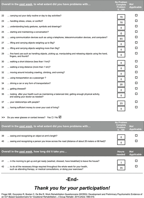 Applying the Work Rehabilitation Questionnaire WORQ: A Case ...
