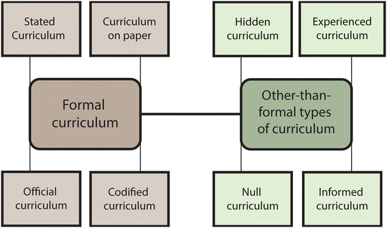 The Hidden Curriculum and Anatomy Education | SpringerLink
