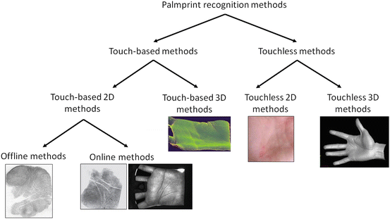 Palmprint Biometrics | SpringerLink