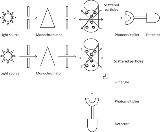 Serum Free Light Chain Analysis | SpringerLink