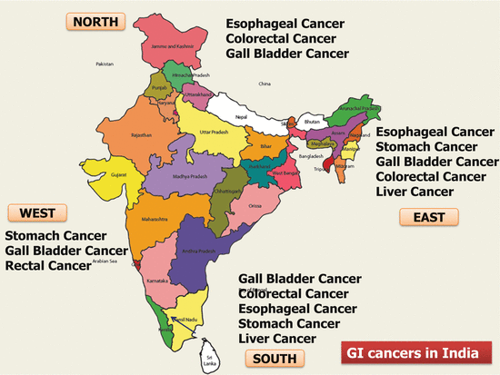 Prevalence of Gastrointestinal Cancers in India | SpringerLink