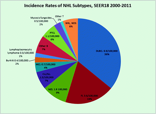 Epidemiology and Etiology of Non-Hodgkin Lymphoma | SpringerLink