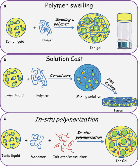Polymeric Ion Gels: Preparation Methods, Characterization, and ...