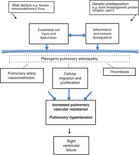 The Pathophysiology, Presentation and Diagnostic Investigation of ...
