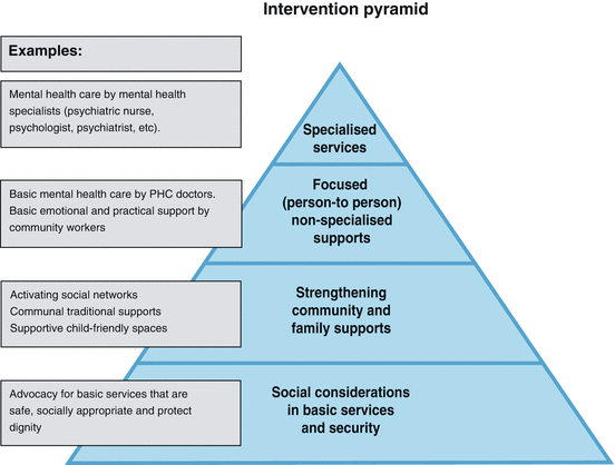 Basic Concepts and Current Challenges of Public Health in Humanitarian ...
