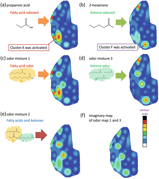 Odor Sensing Technologies for Visualization of Odor Quality and Space ...