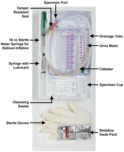Indwelling (Transurethral and Suprapubic) Catheters | SpringerLink