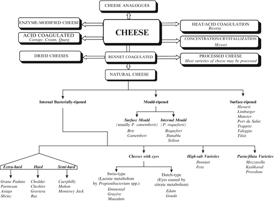 Chemistry and Biochemistry of Cheese | SpringerLink