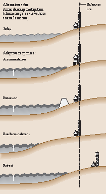 Storm Hazard Mitigation Structures | SpringerLink