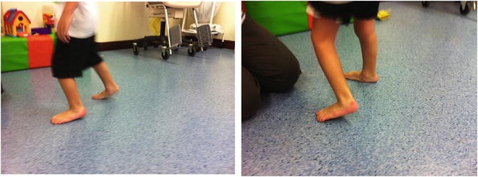 Podiatry | SpringerLink