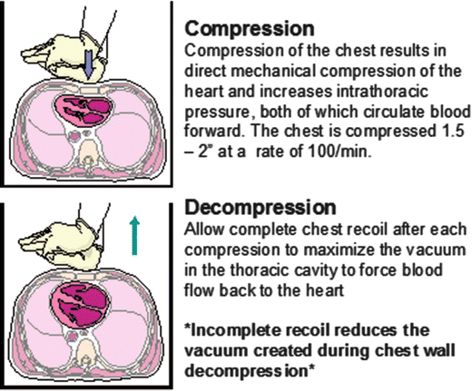 Harnessing Cardiopulmonary Interactions to Improve Circulation and ...