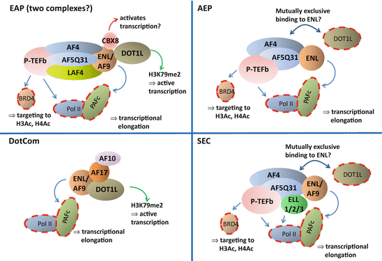 Cellular and Molecular Basis of KMT2A/MLL Leukaemias: From ...