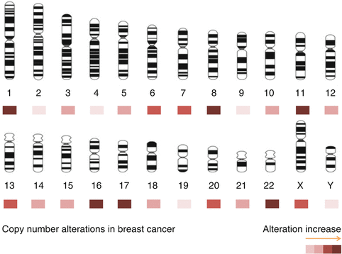 Biology and Genetics of Breast Cancer | SpringerLink