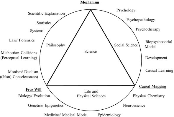 Introducing Causality in Psychology | SpringerLink
