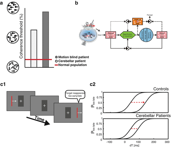 Visual Circuits | SpringerLink