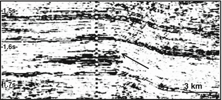 Direct Hydrocarbon Indicators (DHI) | SpringerLink