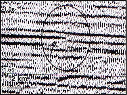 Direct Hydrocarbon Indicators (DHI) | SpringerLink