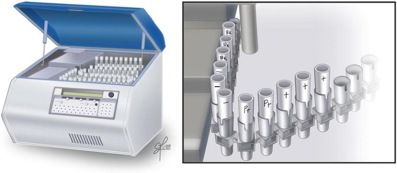 Reactive Oxygen Species (ROS) Measurement | SpringerLink