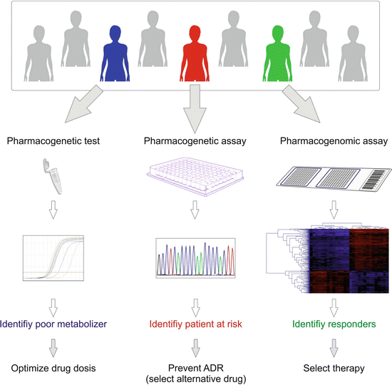 Current Concepts of Pharmacogenetics, Pharmacogenomics, and the ...