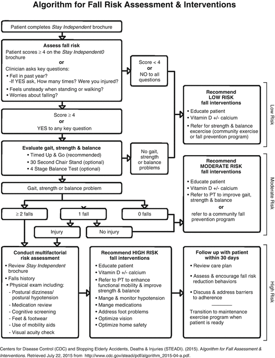 To Fall Is Human: Falls, Gait, and Balance in Older Adults | SpringerLink