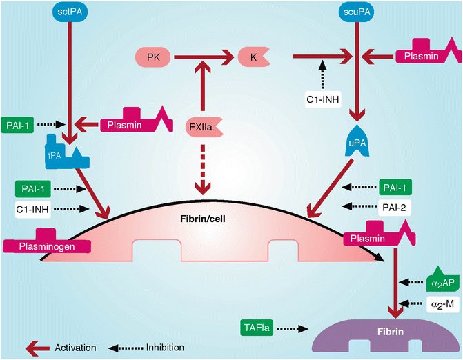 Plasmin-Antiplasmin System | SpringerLink