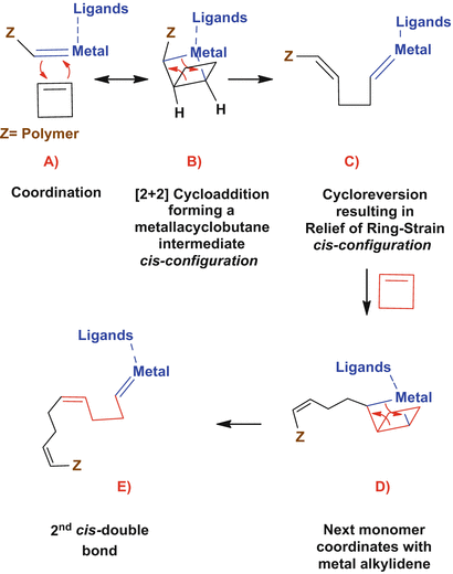 Ring-Opening Metathesis Polymerization (ROMP) Using Maleic Anhydride ...