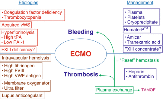 Bleeding Associated with ECMO | SpringerLink