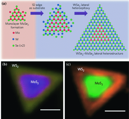 TMDC Heterostructures | SpringerLink