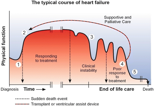 Palliative Care in Heart Failure | SpringerLink