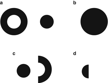 Form Perception | SpringerLink