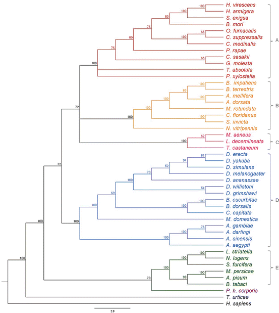 Resistance to Diamide Insecticides in Lepidopteran Pests | SpringerLink