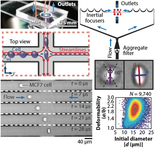 Inertial Microfluidics: Mechanisms and Applications | SpringerLink