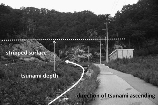 Relationships Between Coastal and Fluvial Geomorphology and Inundation ...