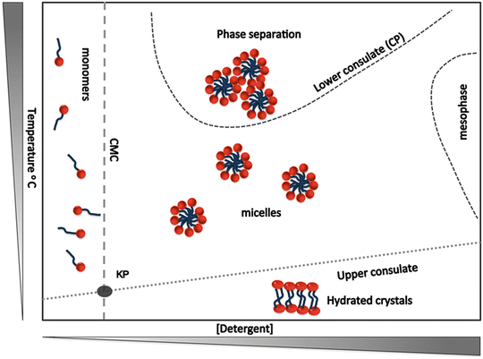 Detergents in Membrane Protein Purification and Crystallisation ...