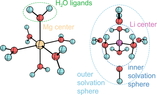 Complexes | SpringerLink