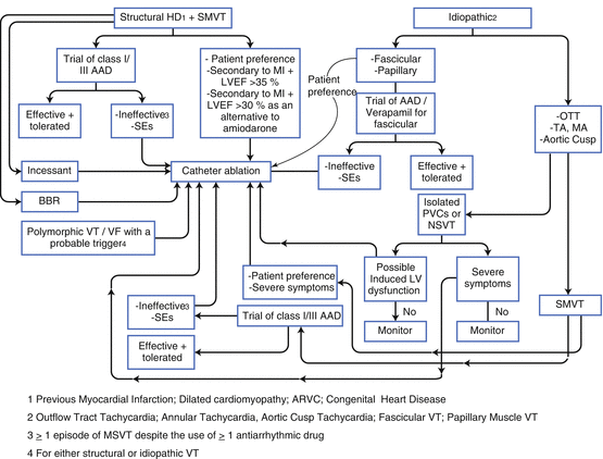 Cardiac Electrophysiology Study, Diagnostic Maneuvers and Ablation ...