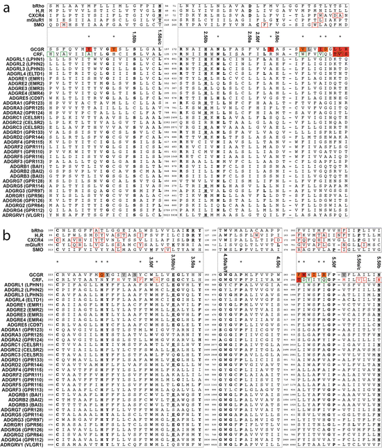 7TM Domain Structure of Adhesion GPCRs | SpringerLink