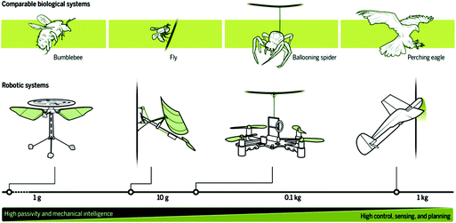 Bio-inspired Soft Aerial Robots: Adaptive Morphology for High-Performance Flight | SpringerLink