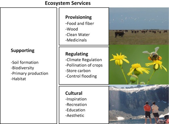 Rangeland Ecosystem Services: Nature’s Supply and Humans’ Demand ...