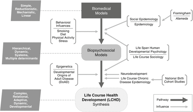 The Emerging Theoretical Framework of Life Course Health Development ...