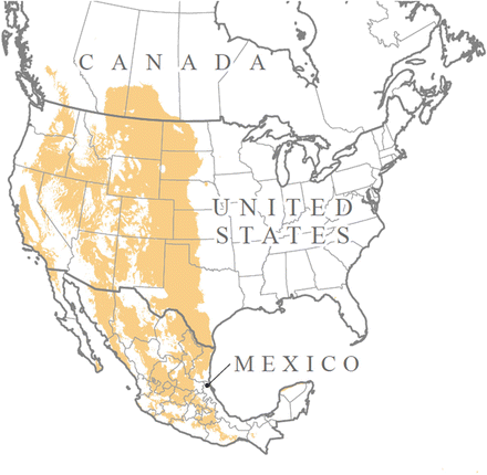 Dryland Agriculture in North America | SpringerLink
