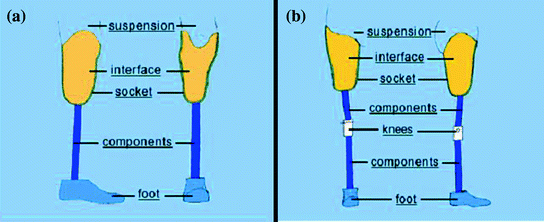 Design of Prosthetic Leg Socket from Kenaf Fibre Based Composites ...