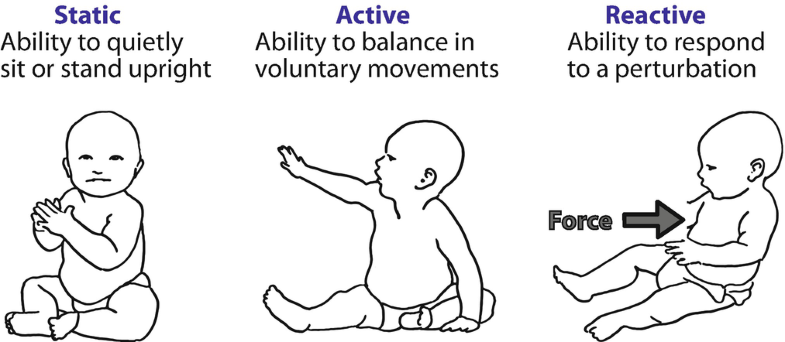 Postural Control in Children and Youth with Cerebral Palsy | SpringerLink