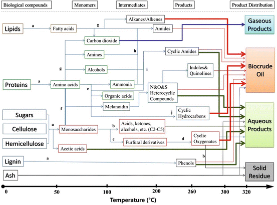 Hydrothermal Liquefaction (HTL): A Promising Pathway for Biorefinery of ...