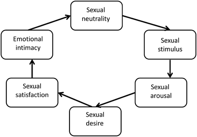 The Human Sexual Response Cycle | SpringerLink