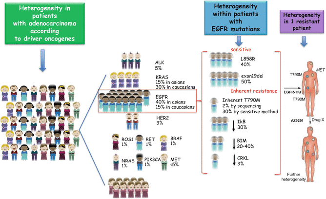 Cancer Clonal Evolution and Intra-tumor Heterogeneity | SpringerLink
