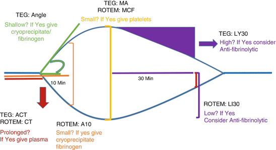 TEG/ROTEM-Driven Resuscitation in Trauma | SpringerLink